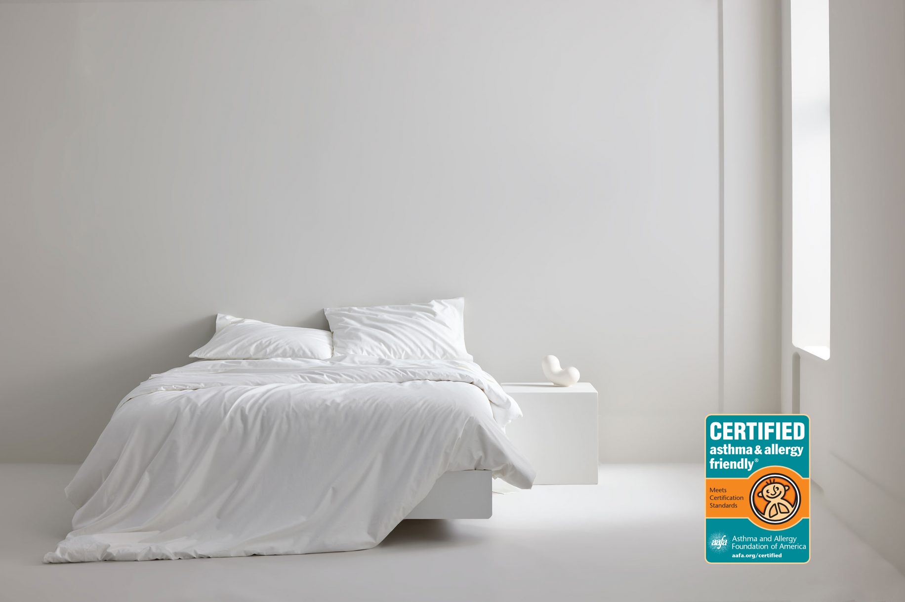 SIJO: Five Years of Transforming Sleep and Healthier Indoor Spaces